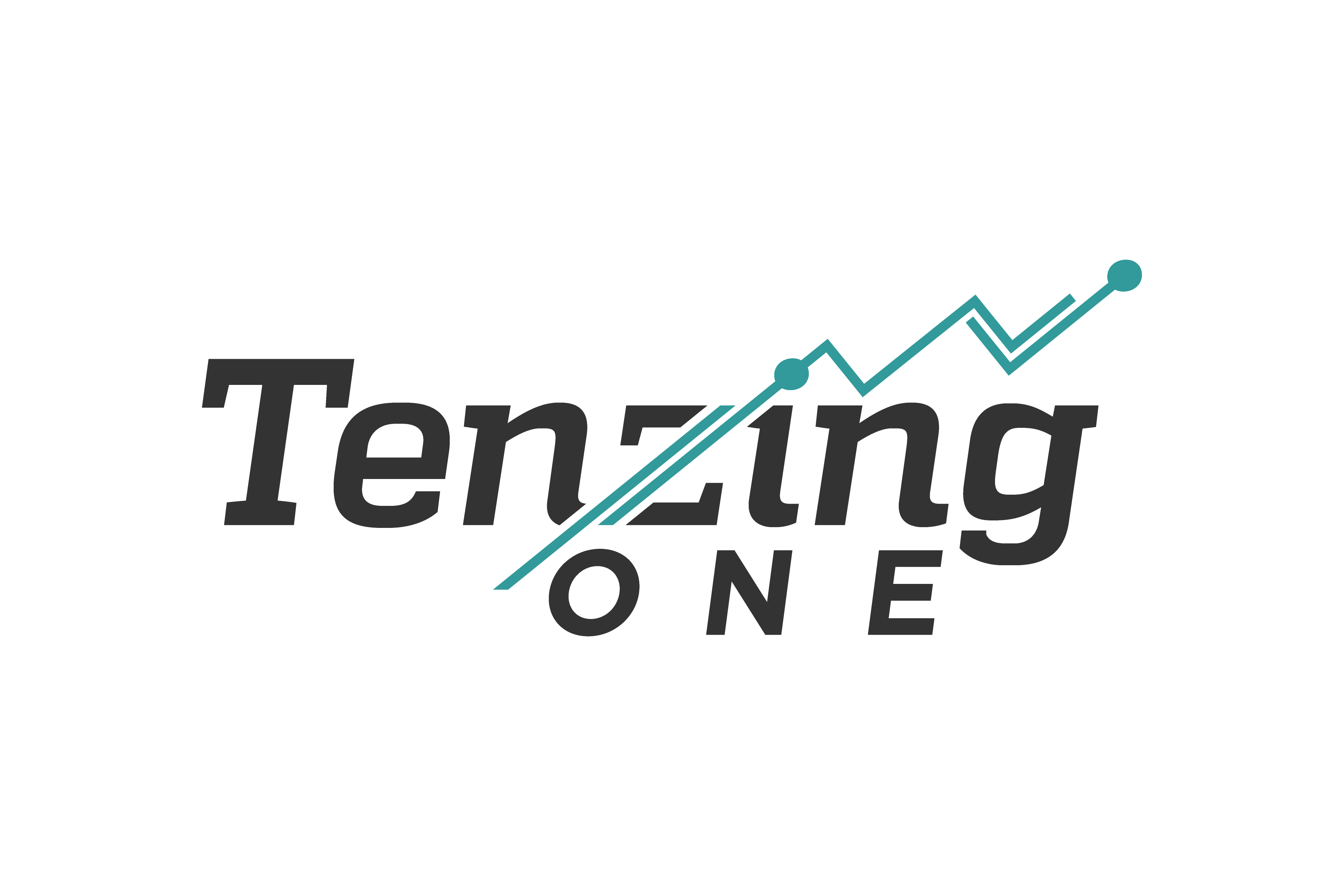 Tenzing One | Capital Project Management Software for Construction Owners